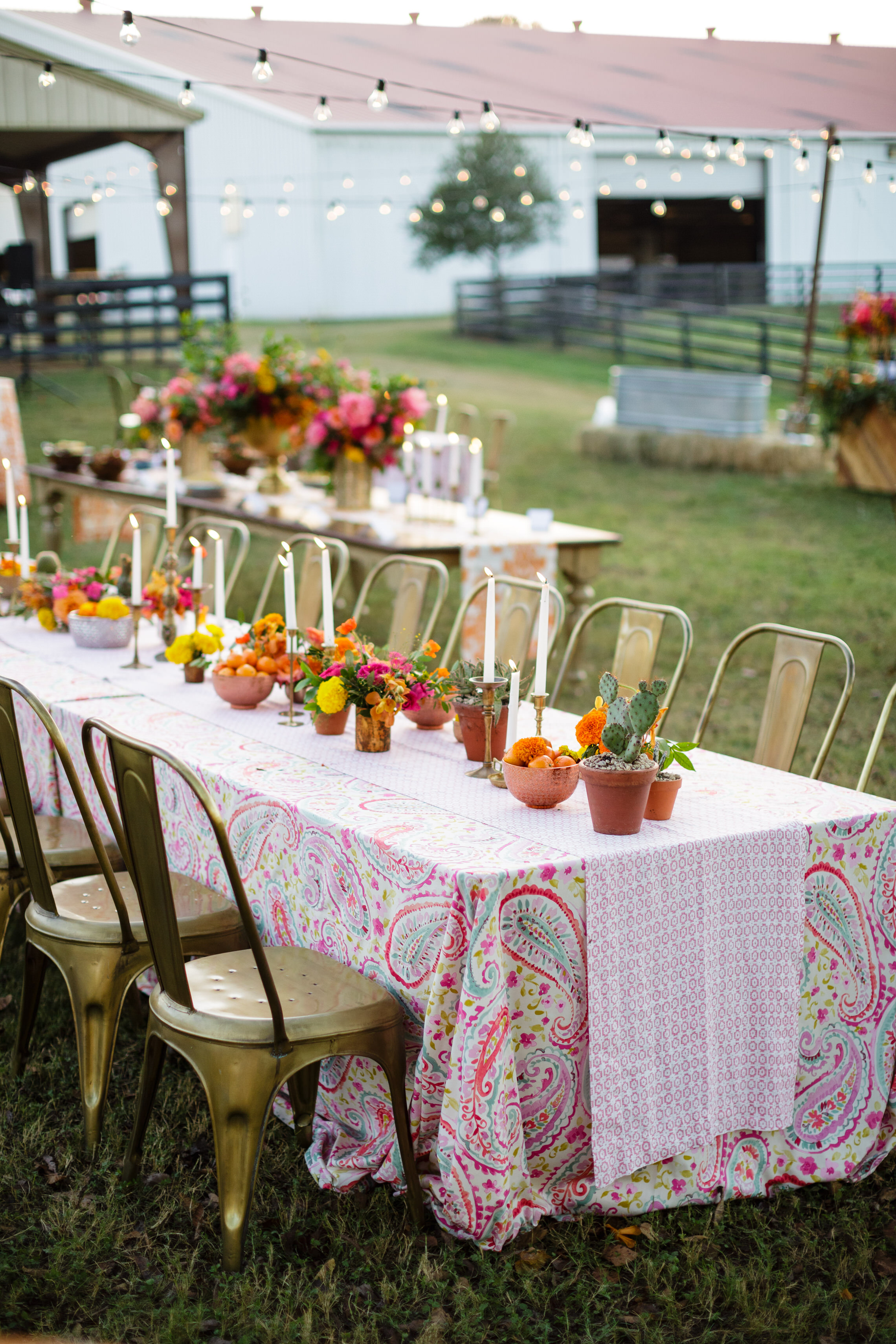 Tex Mex Dinner Party - Strawberry Milk Events